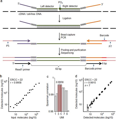Tac Seq Technology Enhances Precision Of Analysis Of Clinical Biomarkers Rna Seq Blog