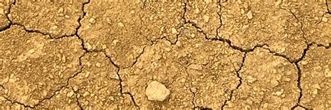 Evalina Bsky Social On Bluesky