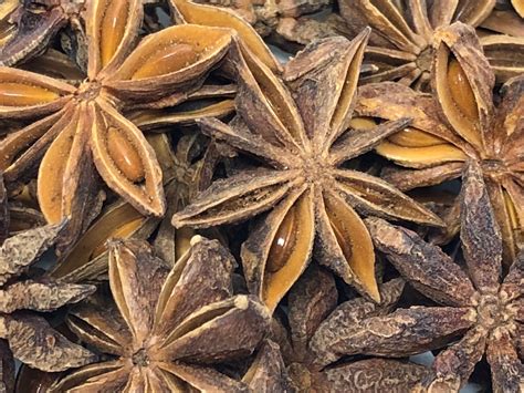 Star Anise Buy Your Favorite Spices At Spice Hound