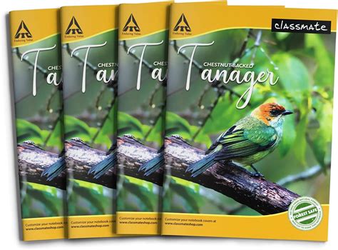 Classmate Drawing Book Unruled 40 Pages 210 Mm X 297 Mm Pack Of 4