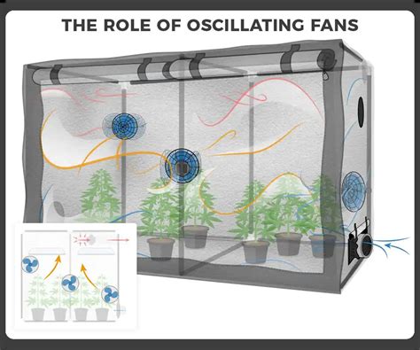 Air Ventilation Part 2 How To Create Good Circulation In Grow Tent