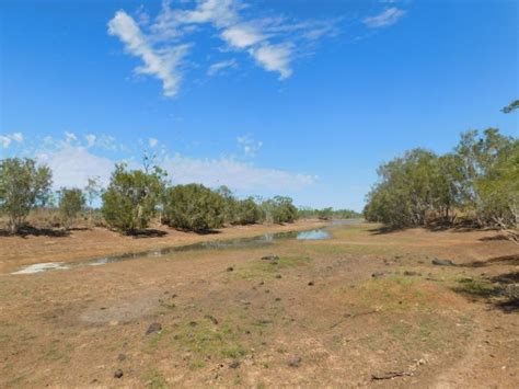 Borrow Pit Birding Near Broome 10 000 Birds