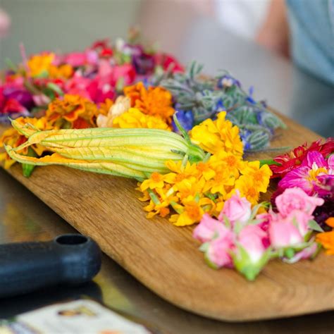 Osez Les Fleurs 10 Variétés à Découvrir Valis Fleurbet