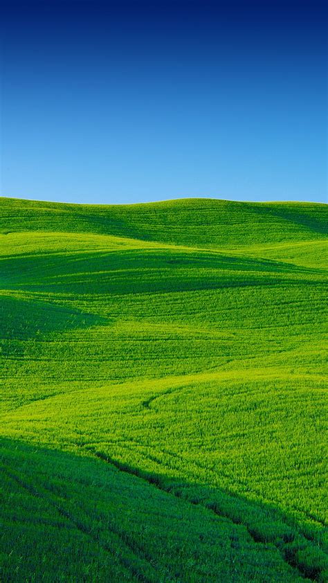 Nature Wallpaper Green Grass