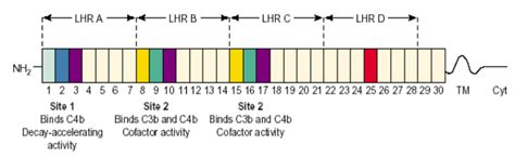 Projects Thomas Lab Rit