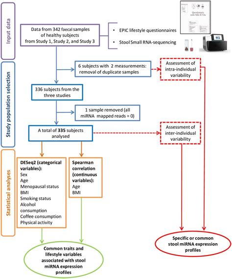 Workflow Of The Study Download Scientific Diagram