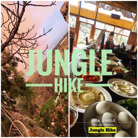 Jala Jungle ‎تنظم جالا جنغل مساراً في وادي المخرور،