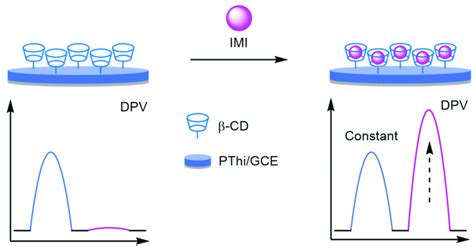 Schematic Representation Of β Cyclodextrin Based Modified Electrode For