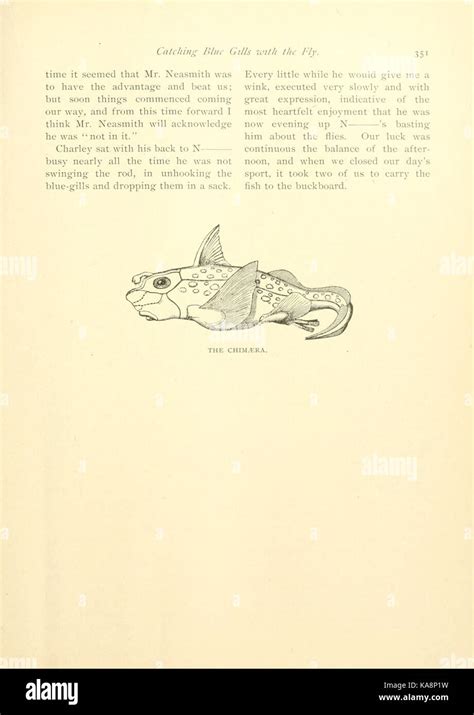 The American Angler Presents An Illustration Of Chimaera A Deep Sea