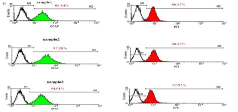 Cell Population Graph A Dot Plot B Histogram From Flow Cytometry Of