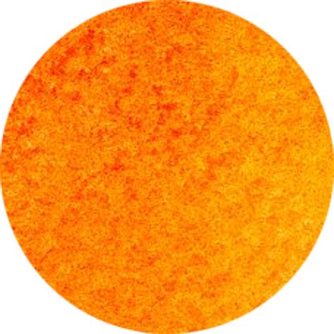 Palettes Lisa Spangler