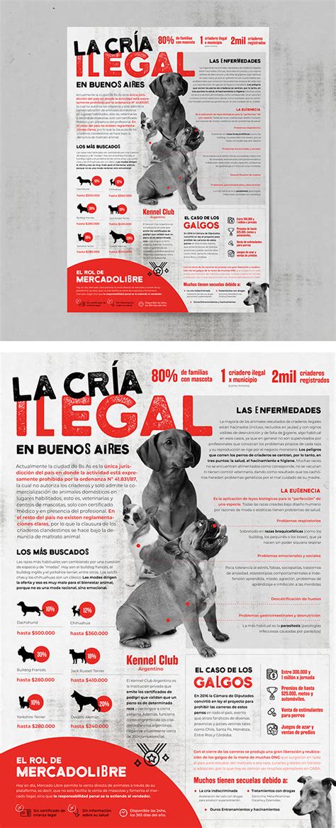 Infografía Teoría Y Práctica Del Diseño Behance