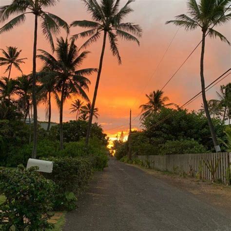 Ik Vertrek Karin Woont Op Hawaii Op Het Eiland Oahu En Deelt Haar Tips Barts Boekje