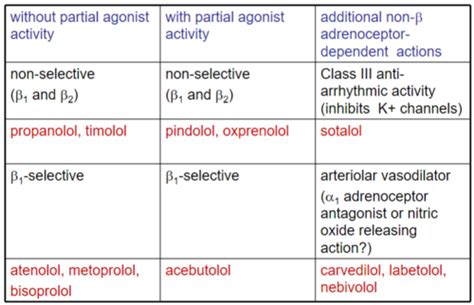 Lecture 13 Beta Blockers Flashcards Quizlet