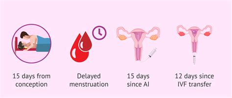 When Should You Take A Pregnancy Test For It To Be Reliable