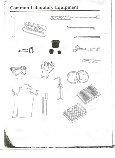Common Lab Equipment Test At Sienna Kraegen Blog