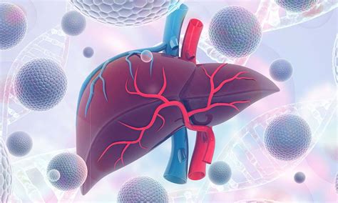 What Are The Differences Between Hepatitis A B And C Therizon