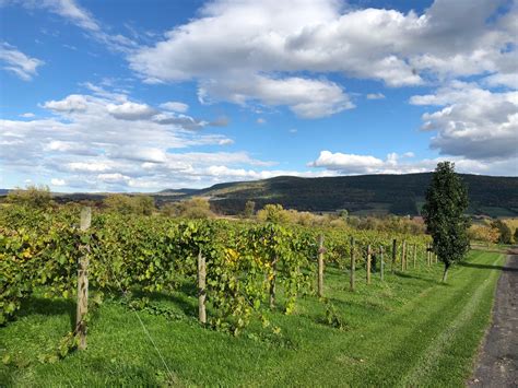 Middleburgh Ny Map And Directions Mapquest