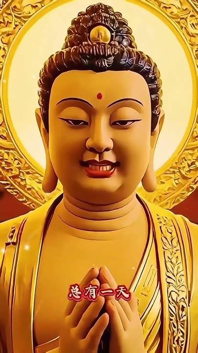 佛祖保佑你🙏阿彌陀佛 佛祖 保佑 平安 财运 正能量 人生感悟 佛教 感情 人生 熱門 Foryou Shorts Shortvideo 分享 Youtube