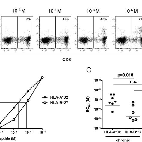 Functional Avidity Of Hcv Specific Cd8 T Cells A Representative