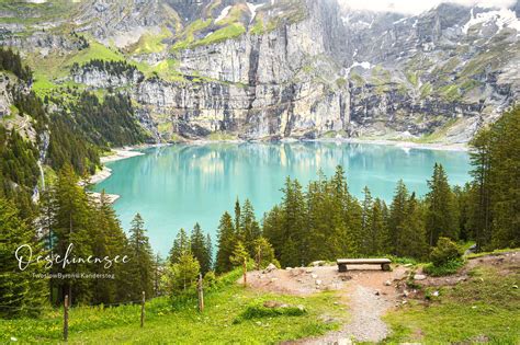 【格林德瓦】grindelwald First｜交通、冒險活動與bachalpsee健行攻略，還能巧遇野生土撥鼠