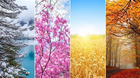 Relaxing Music For Plants Vol 5 [antonio Vivaldi The Four Seasons