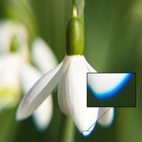 What Is Chromatic Aberration How To Deal With Color Fringing Petapixel