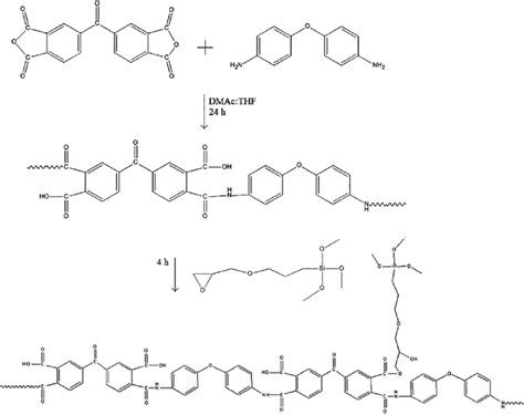 Representation Of The Preparation Of Paa And Modification With Glymo