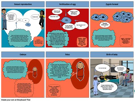 Sis Storyboard By 3fdcbd3c