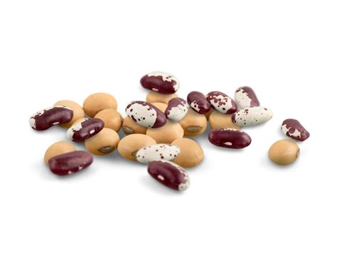Premium Photo Collection Of Beans Isolated On White Background