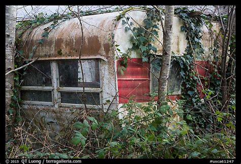 Picturephoto Overgrown Trailer Klamath California Usa