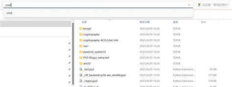 反编译工具的使用（pyinstxtractorpy工具） Csdn博客