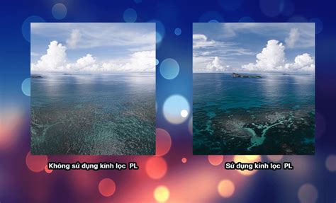 Tìm Hiểu Cách Sử Dụng Kính Lọc Phân Cực Trong Nhiếp ảnh