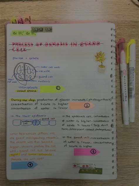 Aesthetic Notes