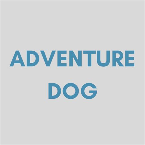 Advanced Dog Classes Levels 2 4 Summit Dog Training