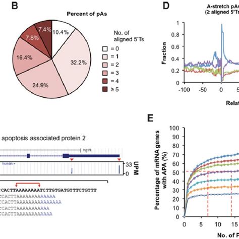Optimization Of 5 ′ And 3 ′ Adapter Ligation Steps A Ligation Download Scientific Diagram