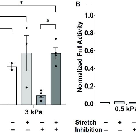 Experimental Observations Of Fibronectin Gene Expression In Response To Download Scientific