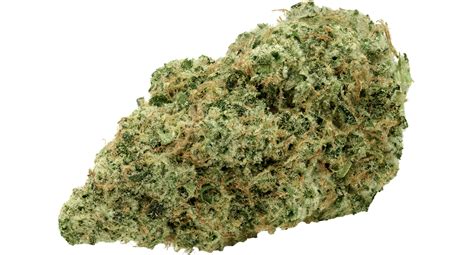 Floridas Finest Cannabis Flower Strains Trulieve
