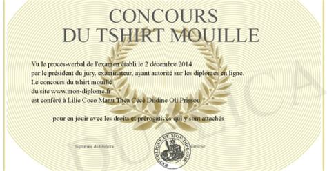Concours Du Tshirt Mouille