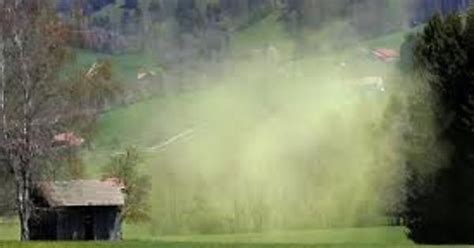 Pollen Creating Clouds Of Death Since Time Immemorial Imgur
