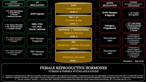 Dr Oybek Rustamov On Linkedin ‪female Reproductive Hormones‬ ‪current