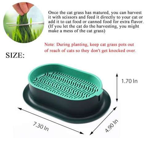 Aedlay Cat Grass Planterno Seeds Included Cat Grass For Indoor Cats