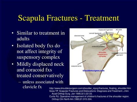 Scapula Fracture Treatment And Management At Beverly Kiker Blog