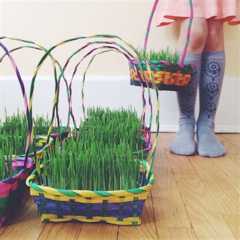 Wheatgrass Easter Baskets Magnesium Blue