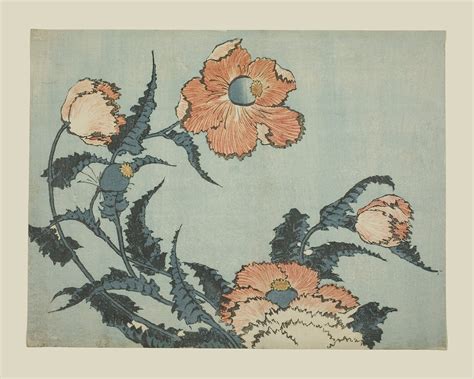 Japanese Flowers Botanical Art Art Botanical Prints Art Print