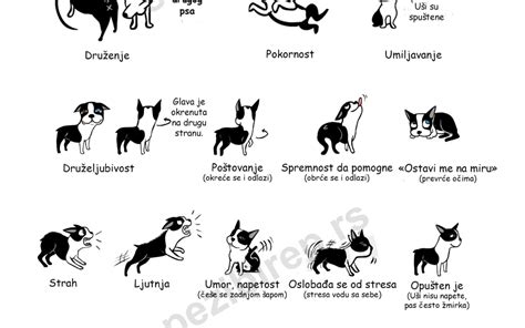 Pseci Jezik Lifehackerrs