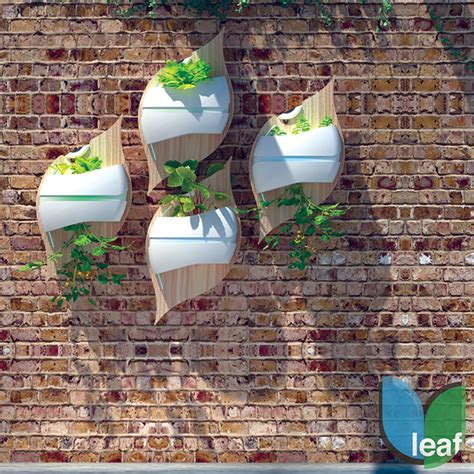 Leaf Hydroponic System On Behance