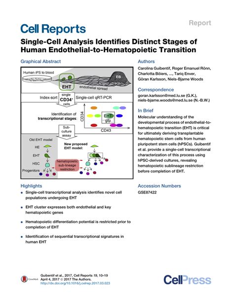 Pdf Single Cell Analysis Identifies Distinct Stages Of Human