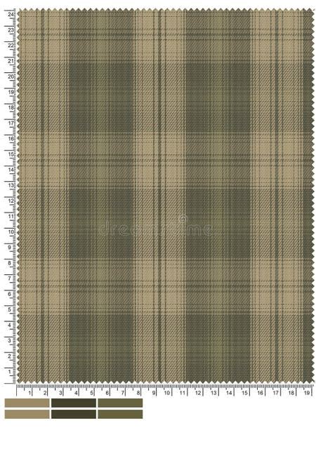 Beige And Olive Green Plaid Fabric Swatch With Measurement Guide Stock