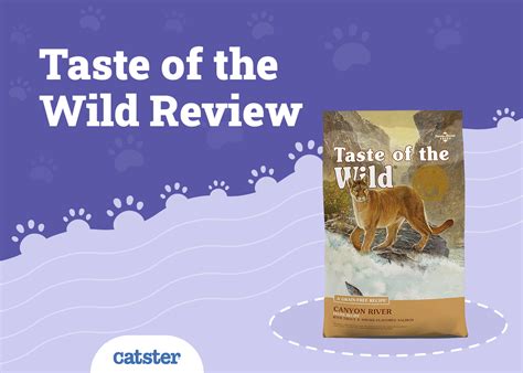 Taste Of The Wild Cat Food Review Of 2026 Recalls Pros And Cons Catster